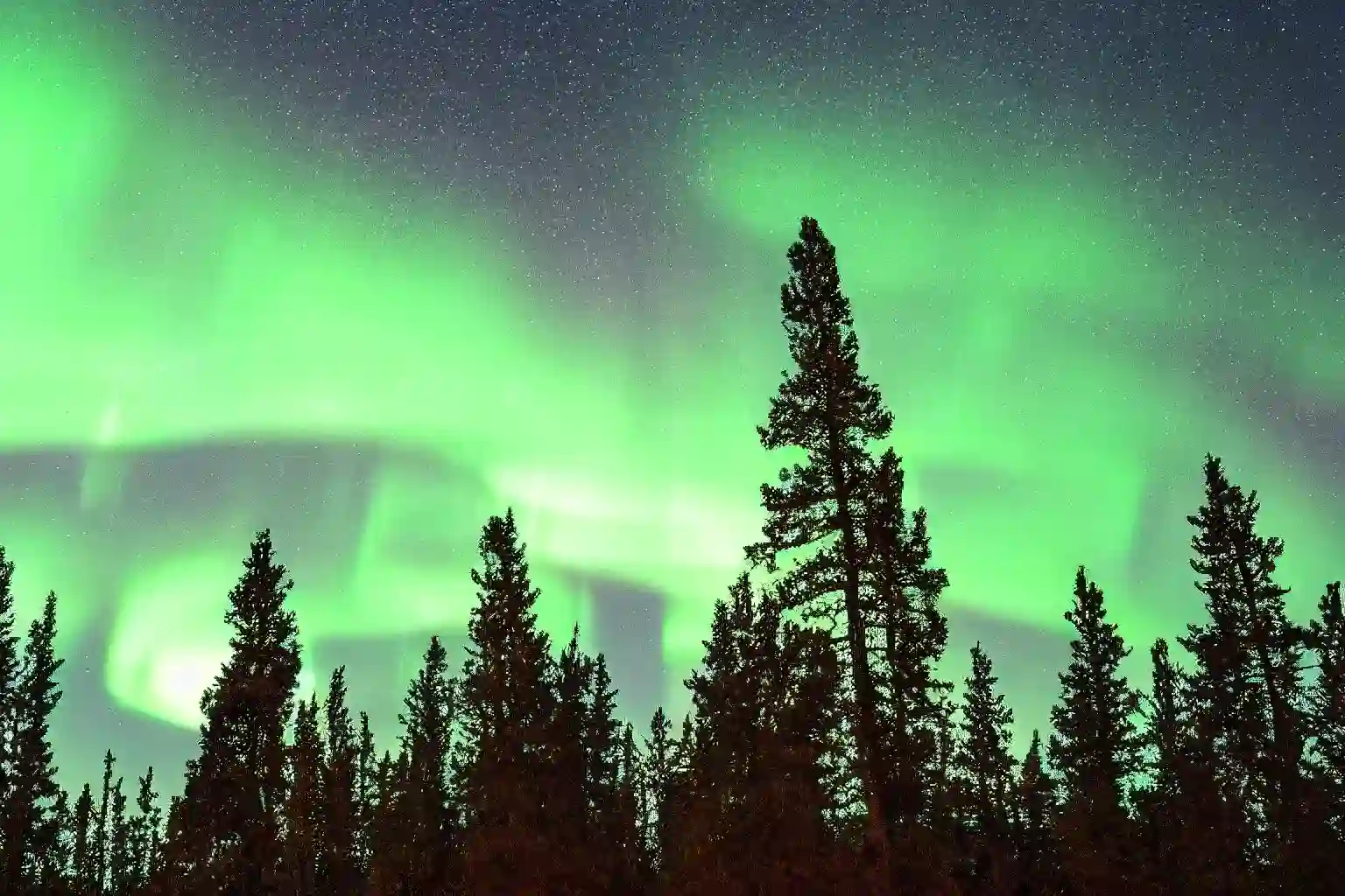 Sign In | PromptHero